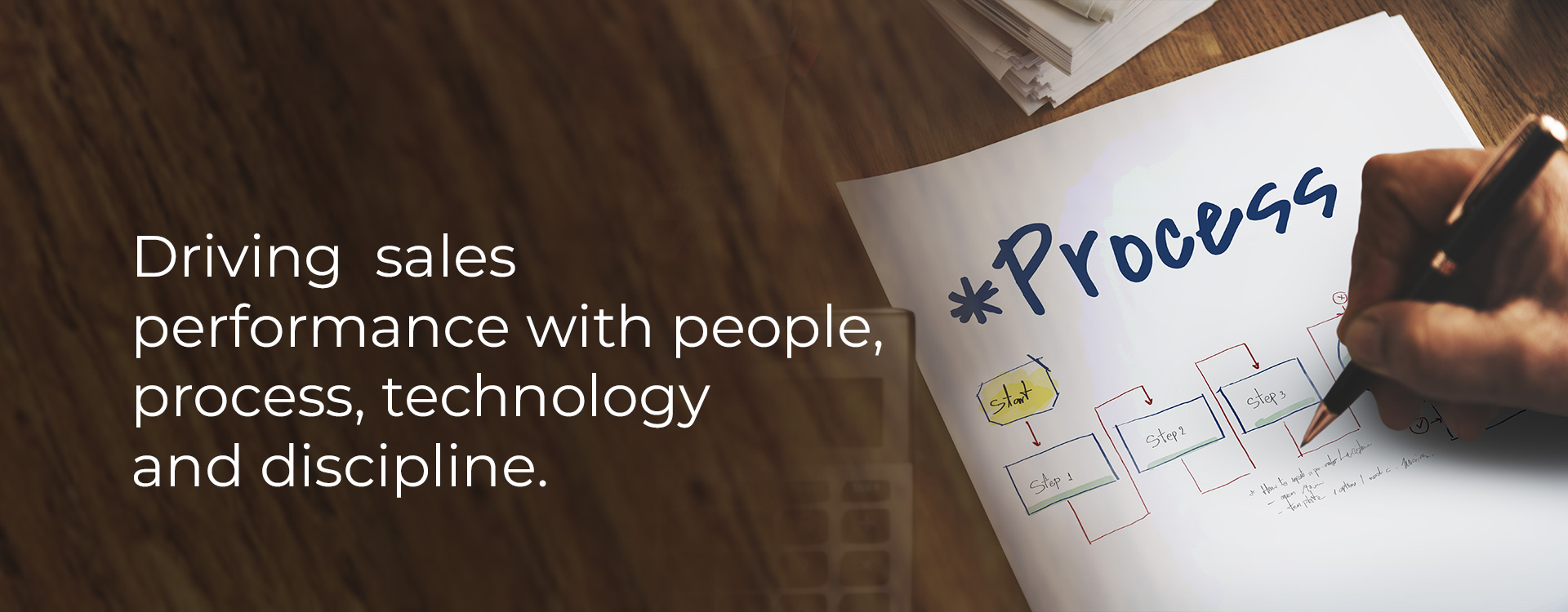 Sales Process & Methodology - Profiliant Development Resources